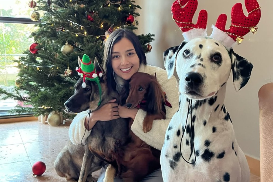 Police investigate death of ex-Miss Hong Kong Lisa-Marie Tse’s poisoned ...