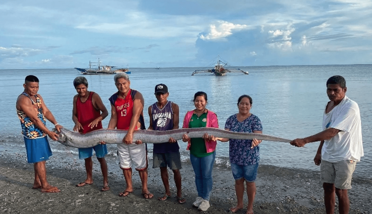 Giant oarfish washing ashore in Philippines sparks earthquake omen fears