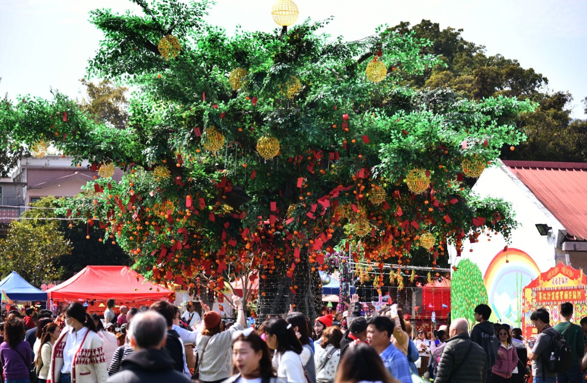 Countdown to CNY: Tai Po's legendary wish-granting trees