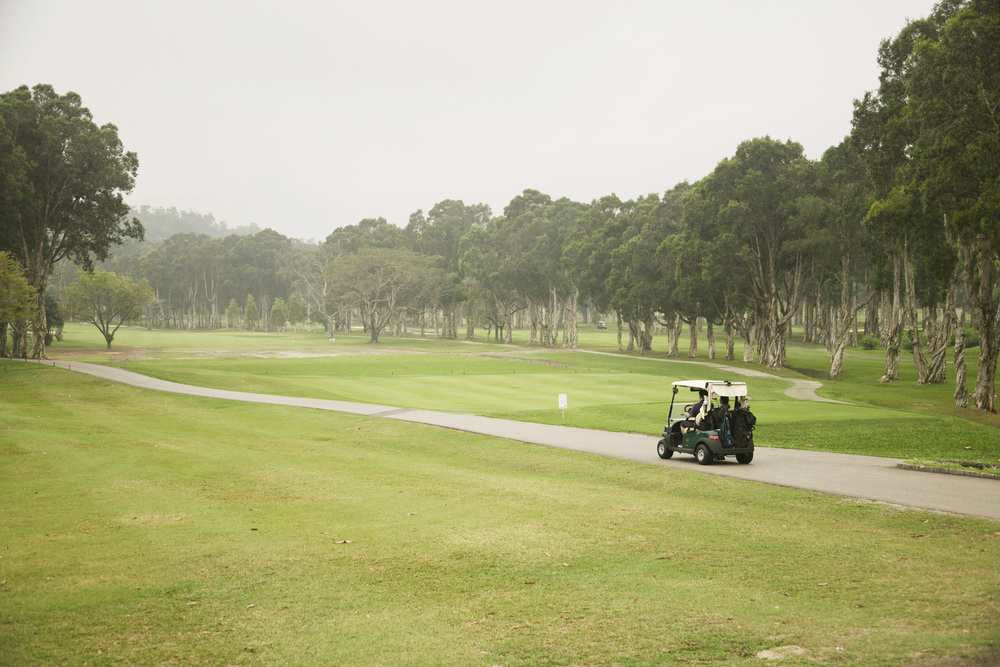 Officials refute Golf Club's argument in Fan Ling tree dispute