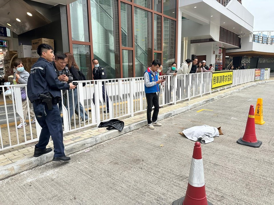 Dog severely wounded after fall from height in Sheung Shui