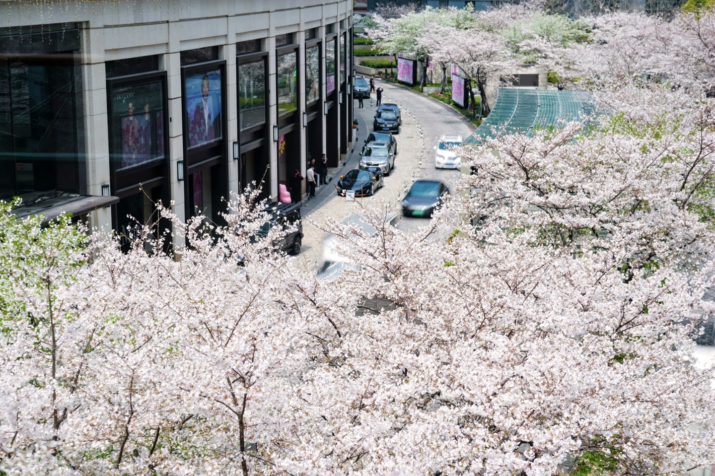 HKRI’s Yangtze River Delta Upgrade Strategy transforms regional urban ...
