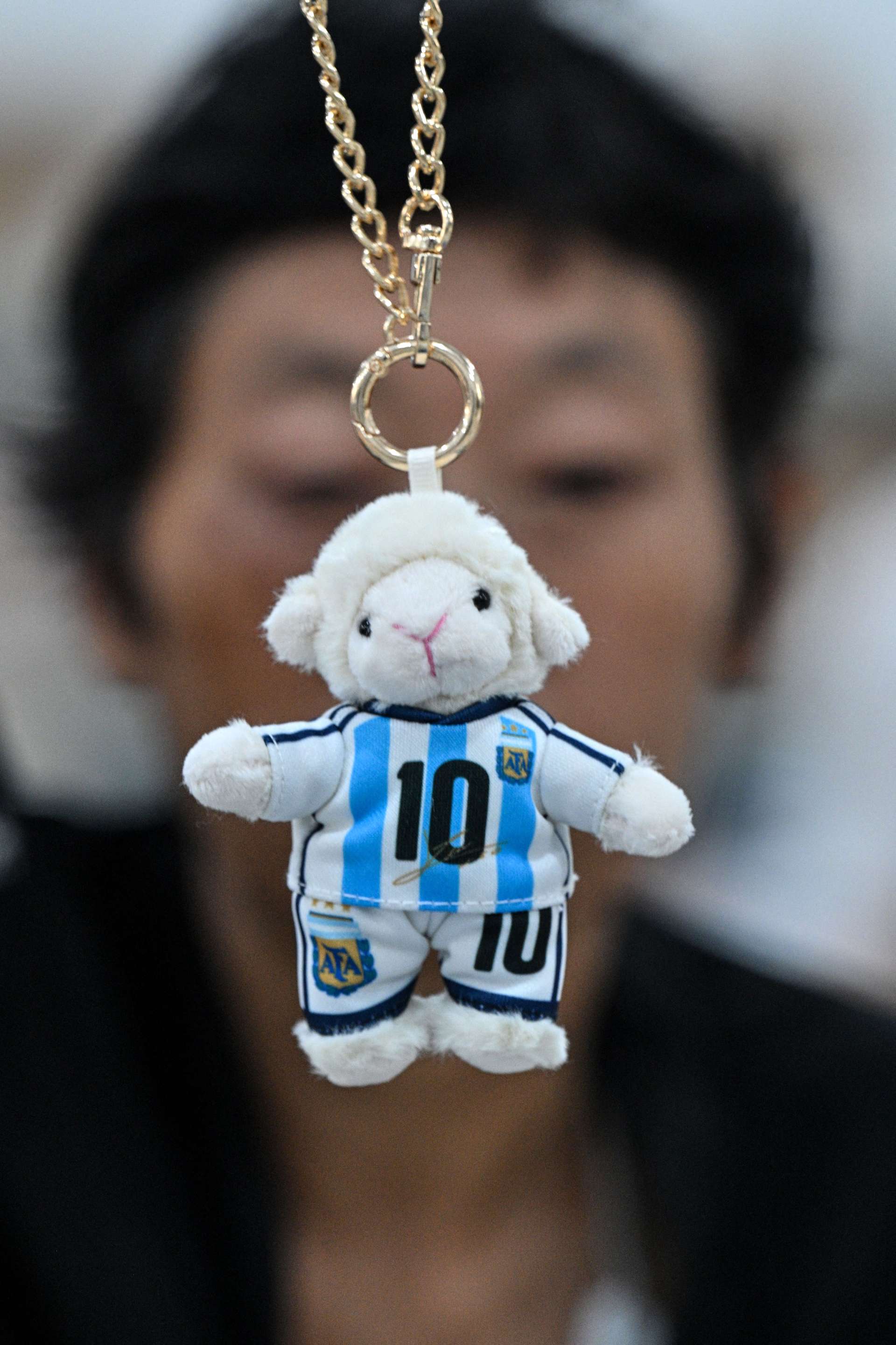 Messi plushies see roaring trade as China firms get World Cup boost