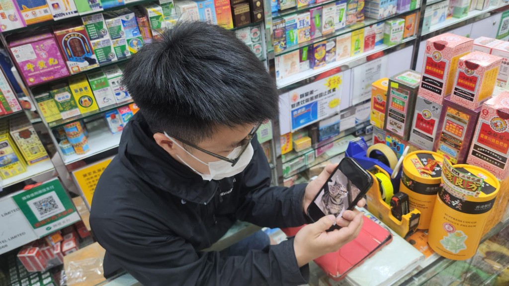 Mong Kok pharmacy's famous cat 'Zoe B' missing, AirTag signal lost