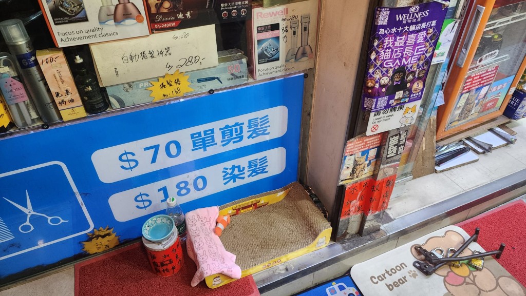 Mong Kok pharmacy's famous cat 'Zoe B' missing, AirTag signal lost